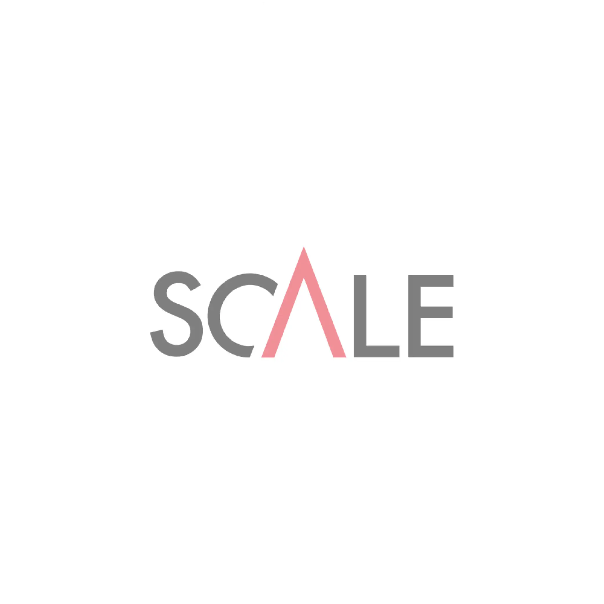 Scale - Powering Scale Up Success